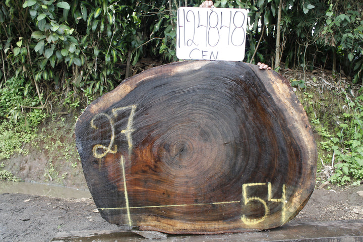 Monkey Pod Wood Slabs & Natural Live Edge
