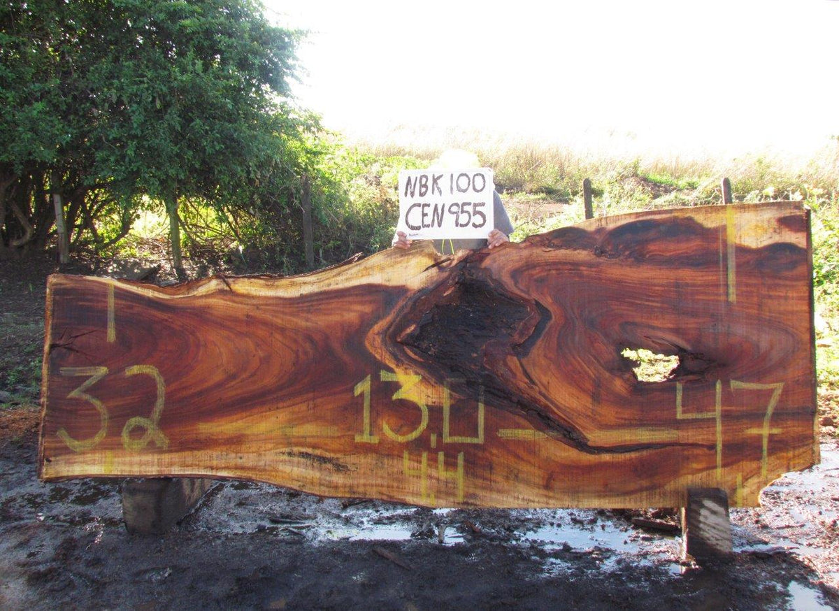 Monkey Pod Wood Slabs & Natural Live Edge