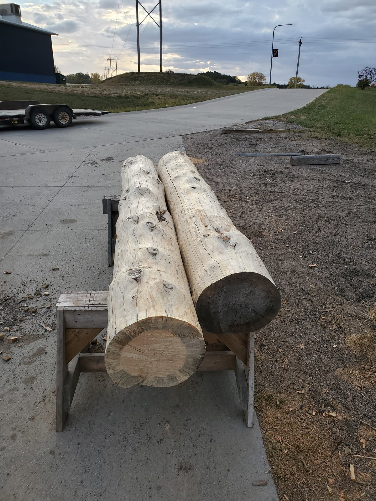12"-16" Round Log Timber