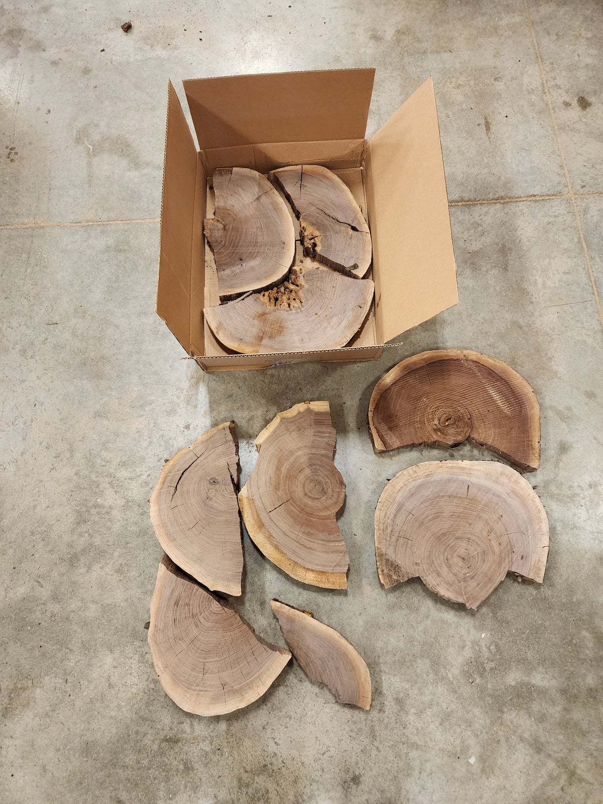 Broken Cookie Box Kits